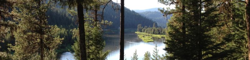 Homedale Chiropractic :: Services